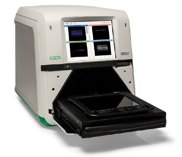 Bio-Rad Chemidoc MP Imaging System | Autophagy, Inflammation and Metabolism Center of Biomedical ...